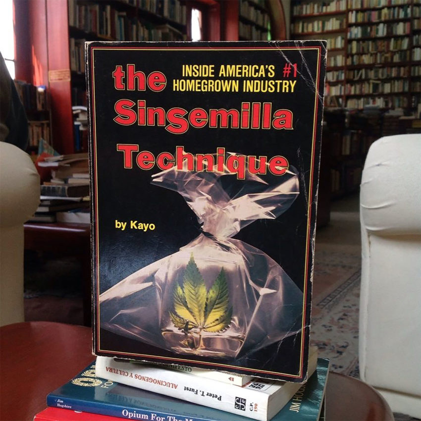 These Are the 5 Best Cannabis Growing Books Reviewed in 2024 - Cannabis ...