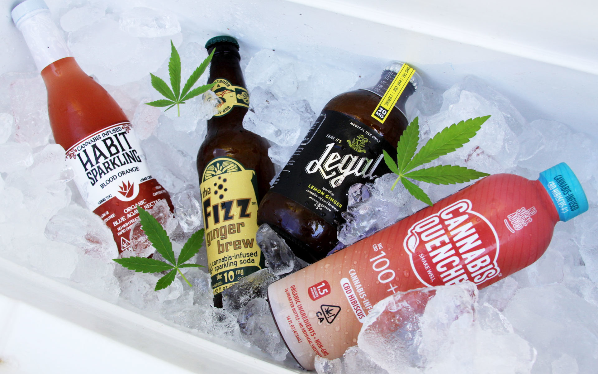 The Creation of Cannabis-Related Drinks Has Arrived - 2024 Guide ...