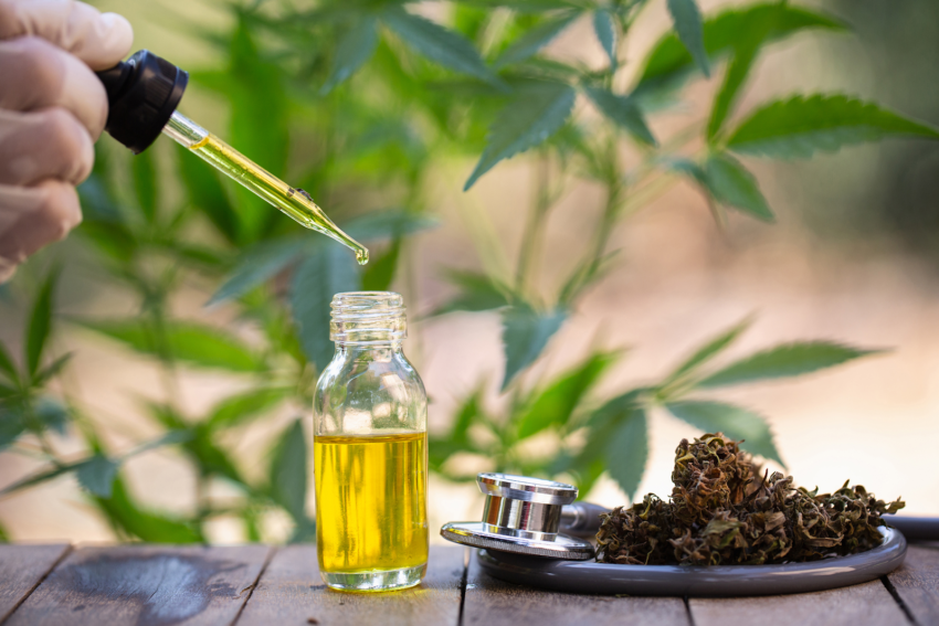 All You Should Know About CBD - Uses, Health Benefits and Risks in 2021 ...