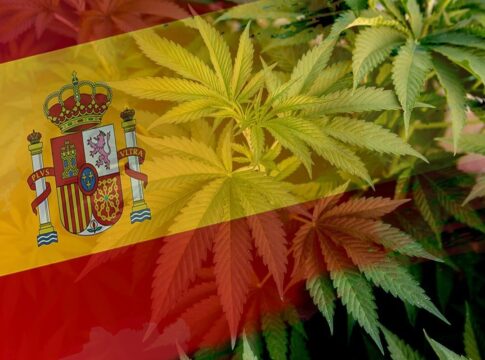 7 Things you Should know about Cannabis Rosin - 2024 Tips - Cannabis Legale