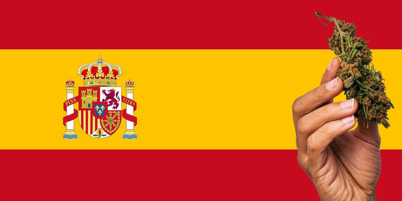 Cannabis in Spain: Legal Status - Cannabis Legale